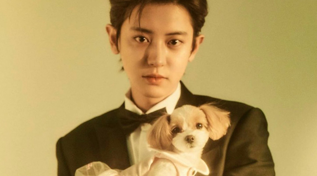 Barking and Meowing: K-Pop Idols and their Pets